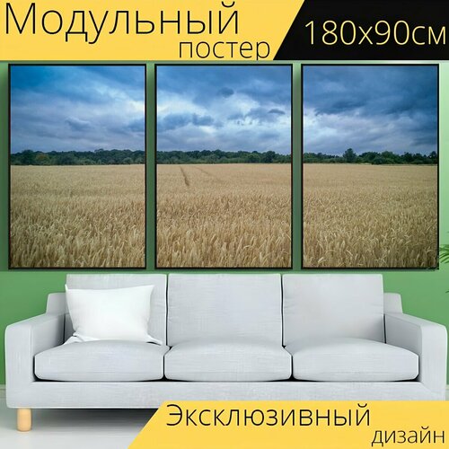 Модульный постер "Поле, пшеница, место действия" 180 x 90 см. для интерьера