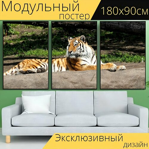 Модульный постер "Тигр, млекопитающее, животное" 180 x 90 см. для интерьера