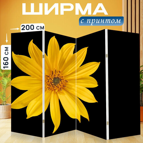 Ширма перегородка с принтом "Цвести, цветок, желтый" на холсте - 200x160 см. для зонирования, раскладная