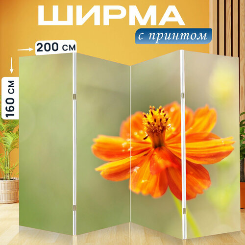 Ширма перегородка с принтом "Остроконечный цветок, апельсин, желтый" на холсте - 200x160 см. для зонирования, раскладная