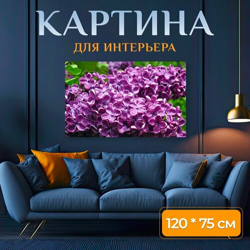 Картина на холсте "Сирень, цветы, весна" на подрамнике 120х75 см. для интерьера