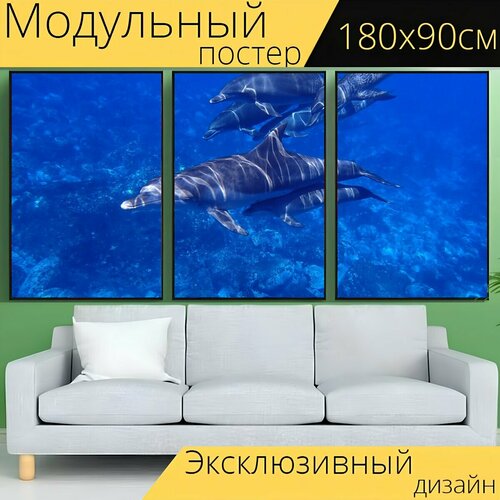 Модульный постер "Море, дельфин, синий" 180 x 90 см. для интерьера