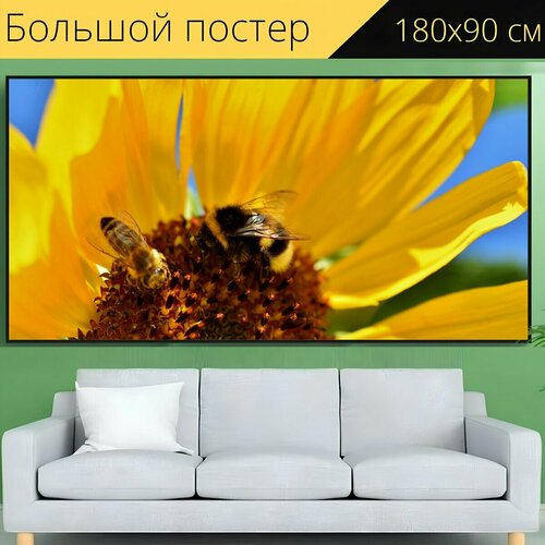 Большой постер "Подсолнух, шмель, пчела" 180 x 90 см. для интерьера