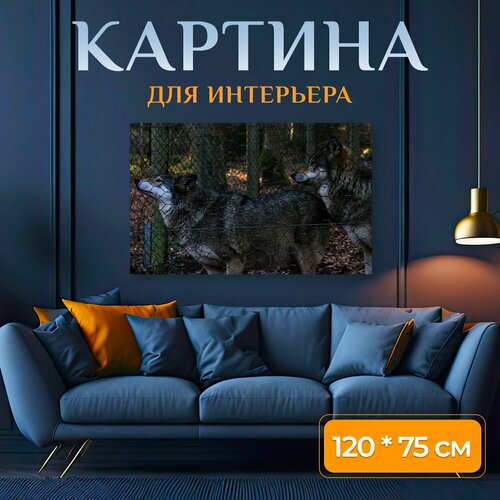 Картина на холсте "Волки, природа, животное" на подрамнике 120х75 см. для интерьера