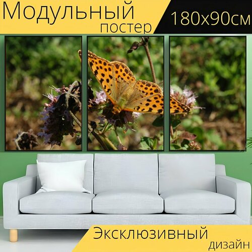 Модульный постер "Бабочка, летом, природа" 180 x 90 см. для интерьера