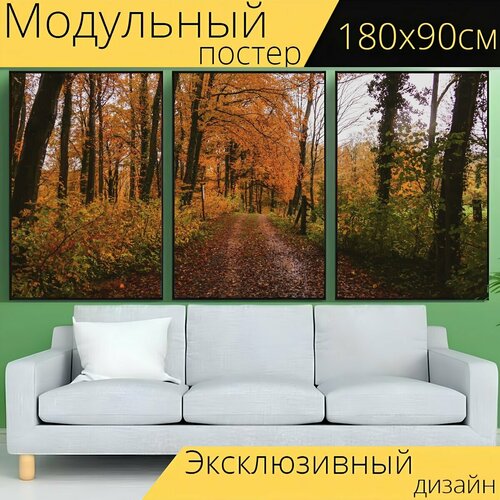 Модульный постер "Осень, природа, лес" 180 x 90 см. для интерьера