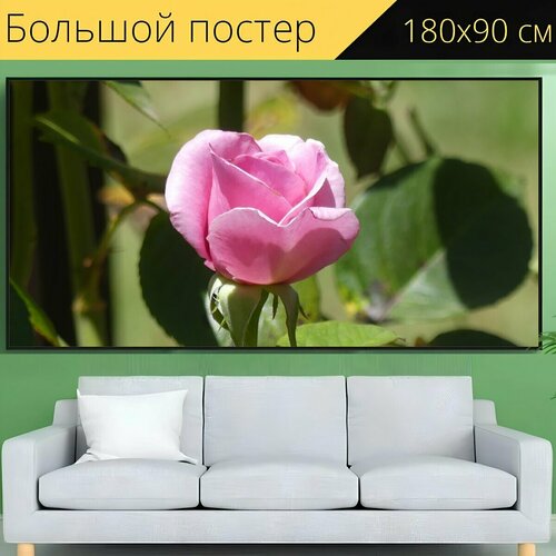 Большой постер "Роза, розовая роза, цветок" 180 x 90 см. для интерьера