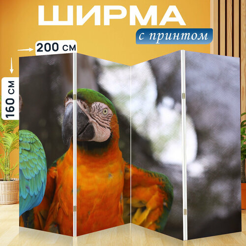 Ширма перегородка с принтом "Попугай, животные, тропический" на холсте - 200x160 см. для зонирования, раскладная