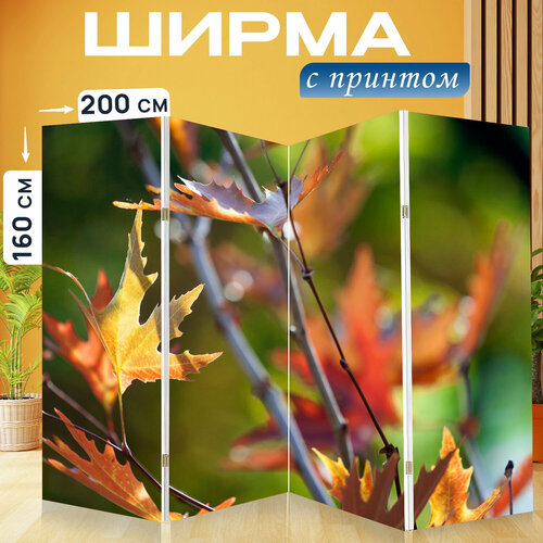 Ширма перегородка с принтом "Осень, цвет, природа" на холсте - 200x160 см. для зонирования, раскладная