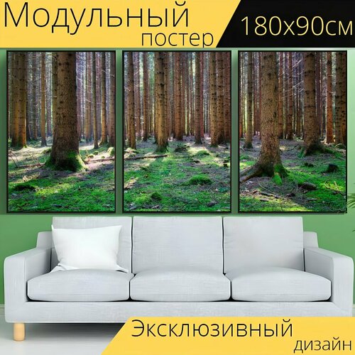 Модульный постер "Лес, ель, хвойное дерево" 180 x 90 см. для интерьера