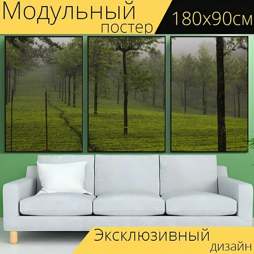 Модульный постер "Чайный сад, чай, муннар" 180 x 90 см. для интерьера