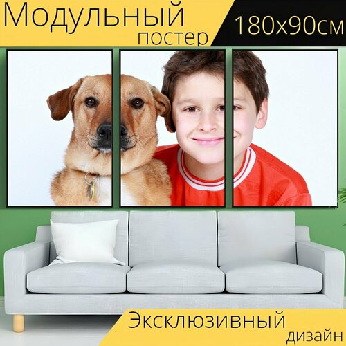 Модульный постер "Мальчик, собака, друзья" 180 x 90 см. для интерьера