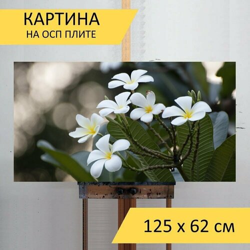 Картина на ОСП 125х62 см. "Цветы, белые цветки, листья" горизонтальная, для интерьера, с креплениями