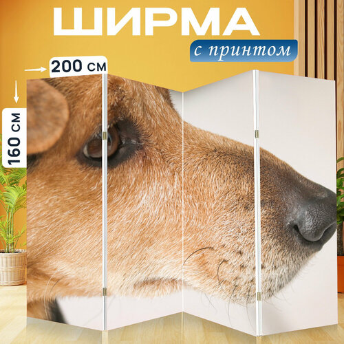 Ширма перегородка с принтом "Собака, гибридный, смешанные породы собак" на холсте - 200x160 см. для зонирования, раскладная