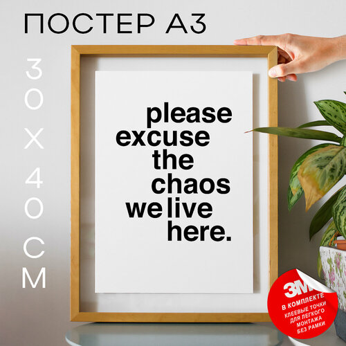 Постер интерьерный на стену, Подарок - Excuse the Chaos, 30х40, А3