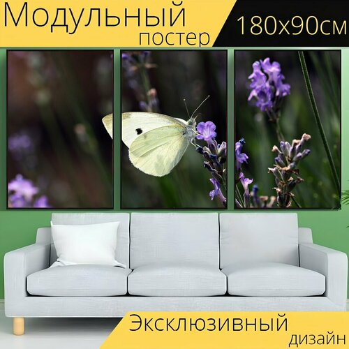 Модульный постер "Бабочка, сад, природа" 180 x 90 см. для интерьера
