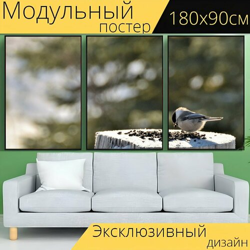 Модульный постер "Птица, макрос, животное" 180 x 90 см. для интерьера