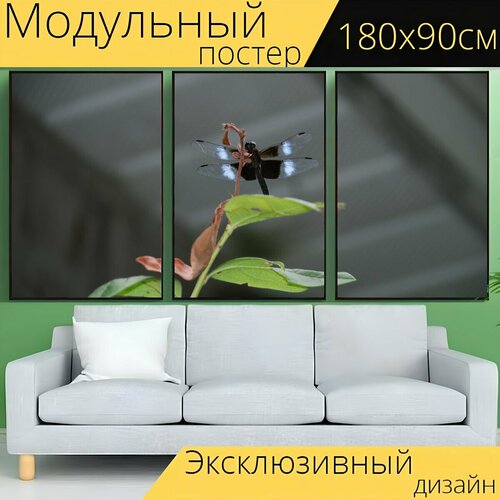 Модульный постер "Стрекоза, летом, насекомое" 180 x 90 см. для интерьера