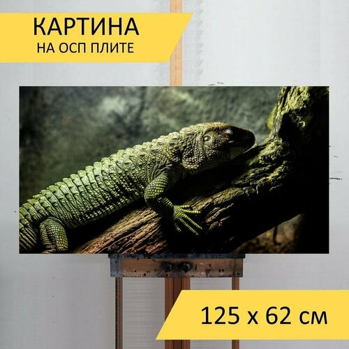 Картина на ОСП 125х62 см. "Игуана, рептилия, тестирование" горизонтальная, для интерьера, с креплениями