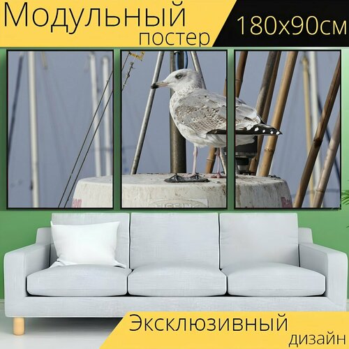 Модульный постер "Чайка, мачты, птица" 180 x 90 см. для интерьера