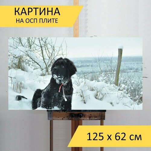 Картина на ОСП 125х62 см. "Собака, зима, животное" горизонтальная, для интерьера, с креплениями
