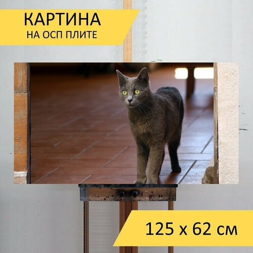 Картина на ОСП 125х62 см. "Кот, мяу, котенок" горизонтальная, для интерьера, с креплениями
