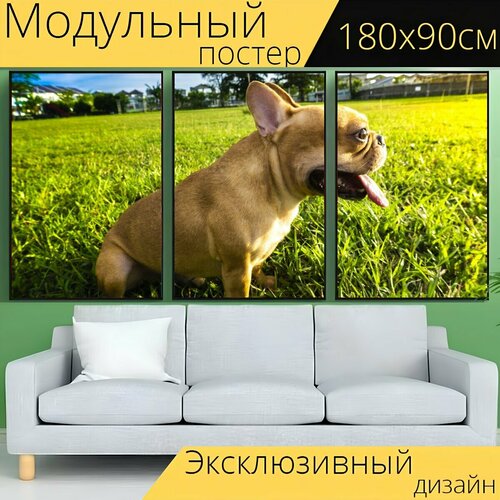 Модульный постер "Собака, животное, сад" 180 x 90 см. для интерьера