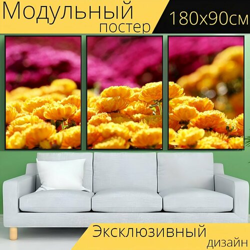 Модульный постер "Цветы, лепестки, хризантема" 180 x 90 см. для интерьера