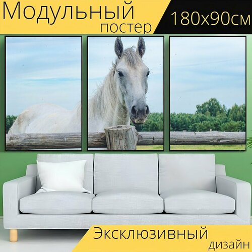 Модульный постер "Лошадь, грива, млекопитающее" 180 x 90 см. для интерьера