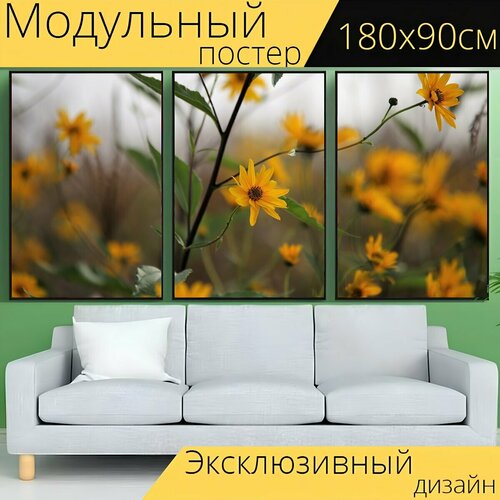 Модульный постер "Арника, желтые цветы, блум" 180 x 90 см. для интерьера