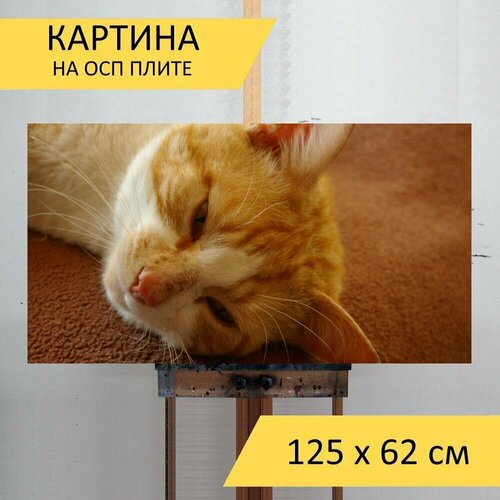 Картина на ОСП 125х62 см. "Рыжий кот, ленивый, кошка" горизонтальная, для интерьера, с креплениями