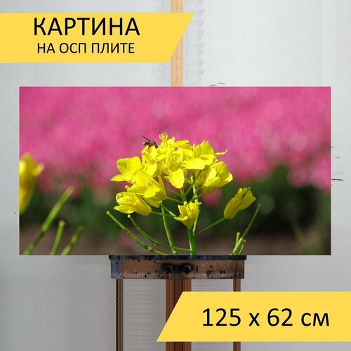 Картина на ОСП 125х62 см. "Цветок, цветы, жёлтый" горизонтальная, для интерьера, с креплениями