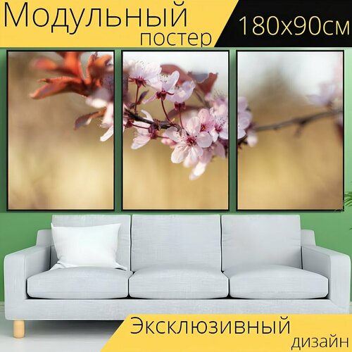 Модульный постер "Природа, цветы, цветение вишни" 180 x 90 см. для интерьера