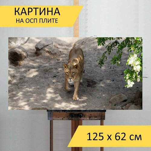 Картина на ОСП 125х62 см. "Лев, хищник, зоопарк" горизонтальная, для интерьера, с креплениями
