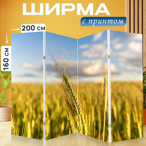 Ширма перегородка с принтом "Поля, пшеница, еда" на холсте - 200x160 см. для зонирования, раскладная