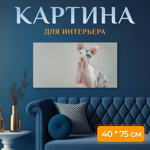 Картина на холсте "Кошка, кошачий, домашний питомец" на подрамнике 75х40 см. для интерьера