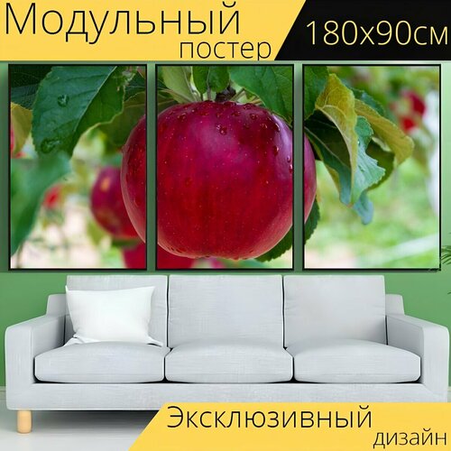 Модульный постер "Яблоко, яблоневый сад, красный" 180 x 90 см. для интерьера