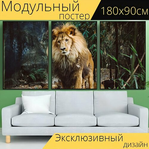 Модульный постер "Лев, животное, зоопарк" 180 x 90 см. для интерьера