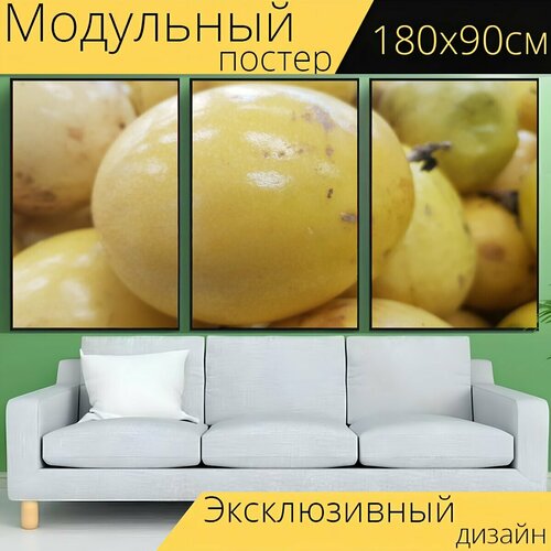 Модульный постер "Плоды, маракуйя, природа" 180 x 90 см. для интерьера