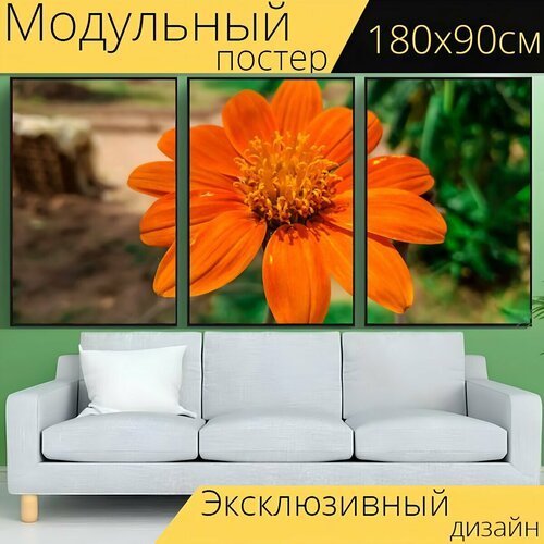 Модульный постер "Цветок, оранжевый цветок, листья" 180 x 90 см. для интерьера