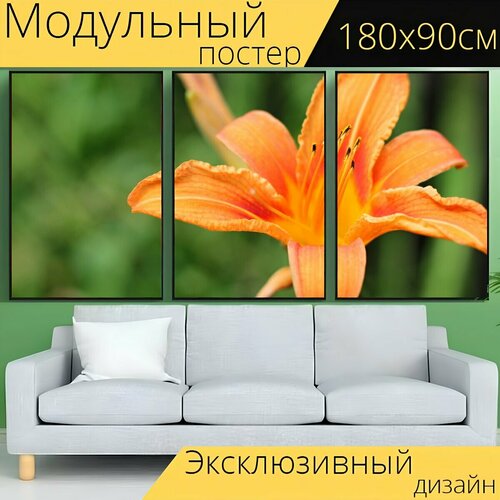Модульный постер "Цветок, апельсин, лили" 180 x 90 см. для интерьера
