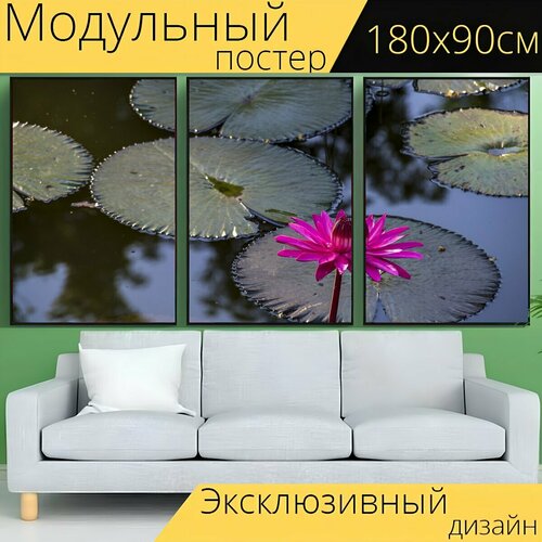 Модульный постер "Водяная лилия, вода, цветок" 180 x 90 см. для интерьера