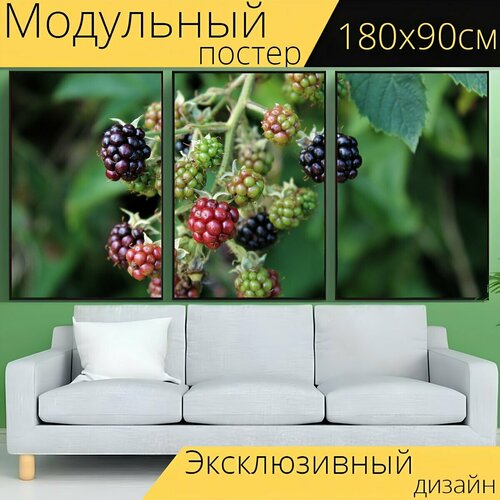 Модульный постер "Ягоды, ягода, ежевика" 180 x 90 см. для интерьера