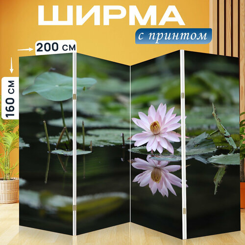 Ширма перегородка с принтом "Цветок лотоса, лилии, водяная лилия" на холсте - 200x160 см. для зонирования, раскладная