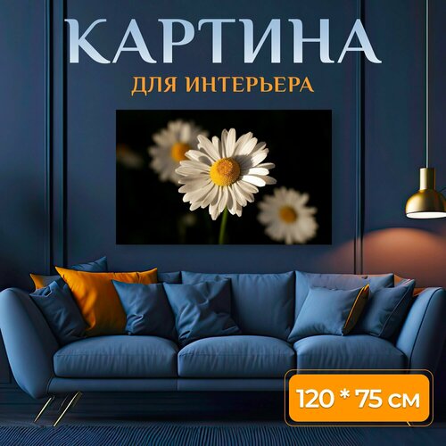 Картина на холсте "Ромашки, полевые цветы, маргарита" на подрамнике 120х75 см. для интерьера