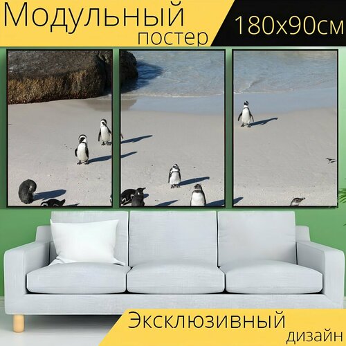 Модульный постер "Пингвины, птицы, пляж" 180 x 90 см. для интерьера