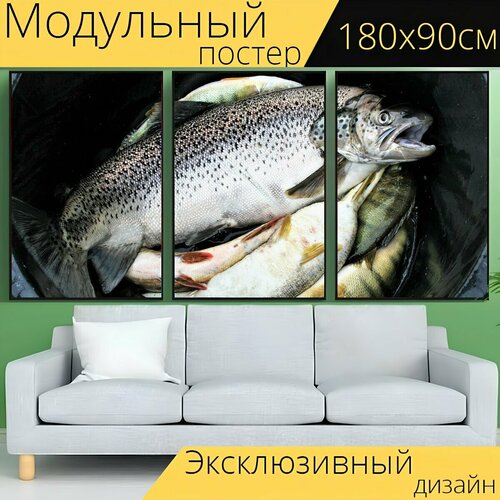 Модульный постер "Рыба, натуральная еда, свежий" 180 x 90 см. для интерьера