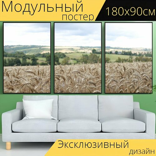 Модульный постер "Поля, поле, пшеница" 180 x 90 см. для интерьера
