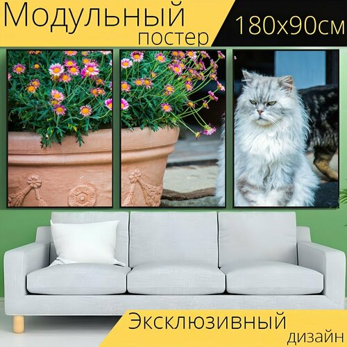 Модульный постер "Кот, персидская кошка, домашнее животное" 180 x 90 см. для интерьера