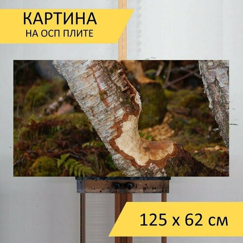 Картина на ОСП 125х62 см. "Бобр, дерево, природа" горизонтальная, для интерьера, с креплениями